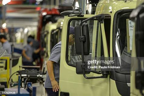 Curitiba Plant Photos And Premium High Res Pictures Getty Images