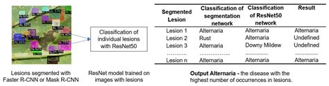 Automatic Segmentation And Classification System For Foliar Diseases In Sunflower