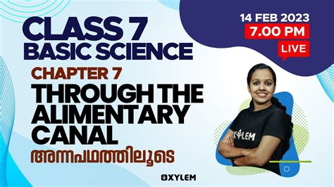 Class 7 Basic Science Chapter 7 Through The Alimentary Canal