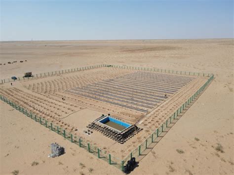 Дорноговь аймгийн Замын Үүд суманд нэг га газрыг хашаажуулж