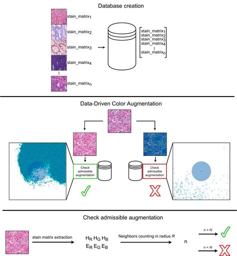 article on color augmentation published in pathology informatics medt