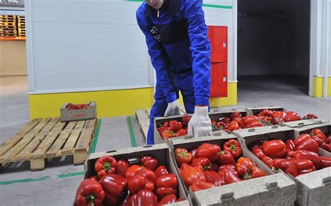 Новости дня в России и мире — РБК