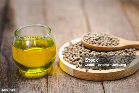 Cbd 오일 대마 제품 병에 추출 오일과 약용 대마초 의료 대마초 개념 0명에 대한 스톡 사진 및 기타 이미지 0명 Thc