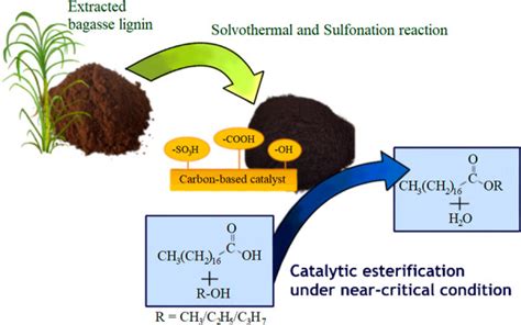 Activity Of A Sulfonated Carbon Based Catalyst Derived From Organosolv