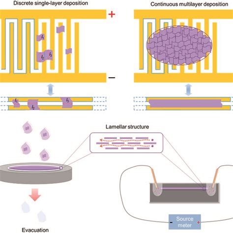 Schematic Diagrams For H⁺ Oh⁻ Ion Conductivity Measurements In The Case