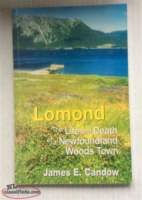 Lomond St Johns Newfoundland Labrador Nl Classifieds