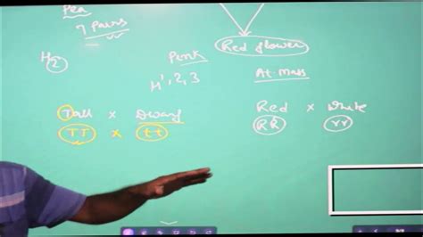 Small T And Capital T Of Heredity Heredity See Neb Shorts Youtube