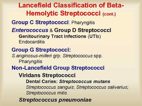 Streptococcus Enterococcus Review Bacterial Cell Morphology