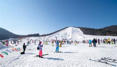 12月3日！神农架滑雪季时间确定项目冰雪政策