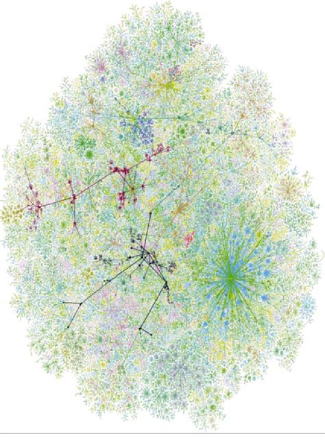 Pdf Network Of Tamcns Identifying Influence Regions Within The Gcss