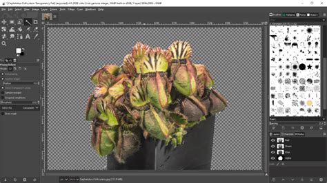 How To Set Transparency In Gimp Royal Dameapardly