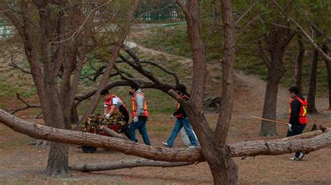 Rehabilitan estudiantes de UANL áreas verdes del Parque Lago Vida