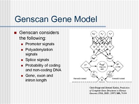 Ab Initio And Evidence Based Gene Finding A Basic