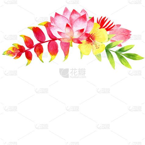 水彩画花头上的花环