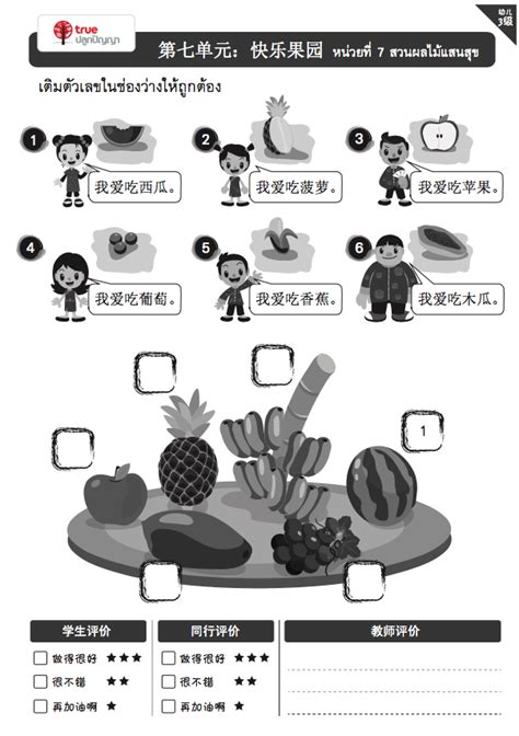 แบบฝีกหัด ภาษาจีน ชั้นอนุบาล 3 พร้อมเฉลย