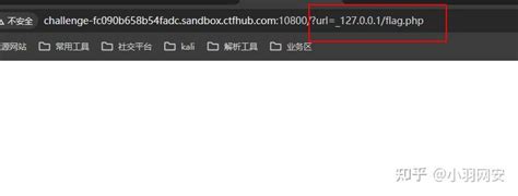 Ctfhub技能树通关教程——ssrf漏洞原理攻击与防御（一）超详细总结 知乎