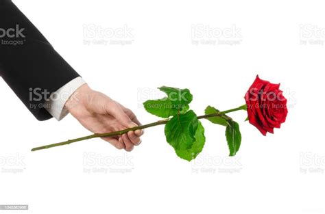 발렌타인의 날 여성의 날 테마 스튜디오에서 흰색 배경에 고립 된 빨간 장미를 들고 정장에 남자의 손 2월에 대한 스톡 사진 및
