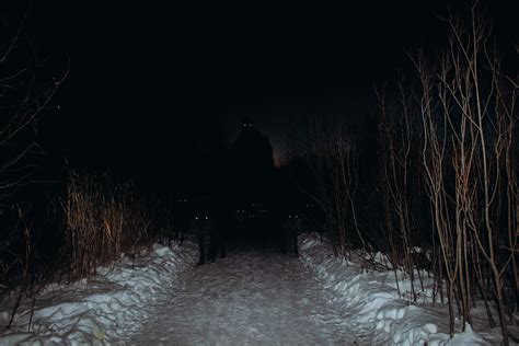 The Pack Oc R Creepy