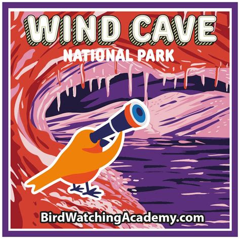 Bird Watching At Wind Cave National Park My Store
