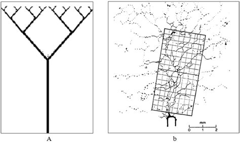 Complexity Of Seismic Process A Minireview Medcrave Online
