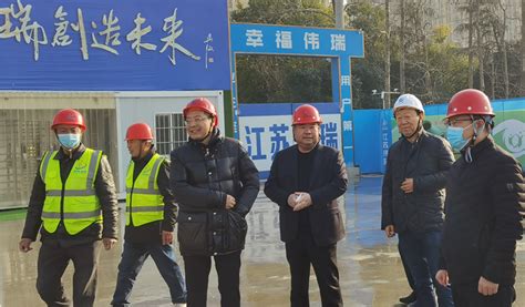 谭真市长带队检查中洋金镶玉项目 公司的新闻中心