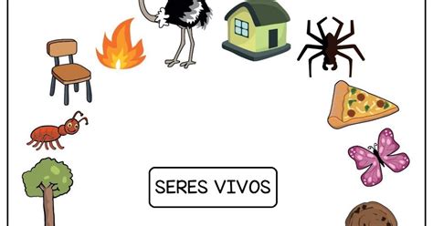 Imagens De Seres Vivos E Não Vivos Para Imprimir ENSINO
