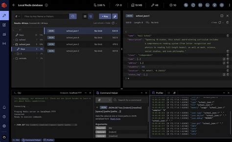 工具推荐 使用redisinsight工具对redis集群curd操作及数据可视化和性能监控redis Insight连接集群 Csdn博客