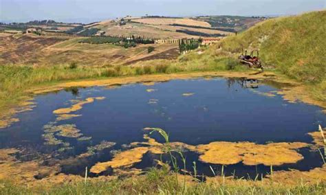 Cosa Vedere In Val D Orcia Itinerario Panoramico Con Mappa Bimbe In