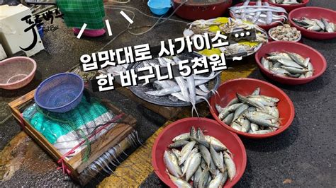 [통영서호시장] 이 맛에 시장가는 거죠 한 바구니 5천원 Youtube