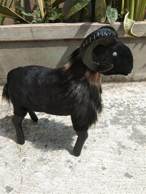 Boneka Domba Adu Garut Tanduk Spon Miniatur Domba Adu Lazada Indonesia