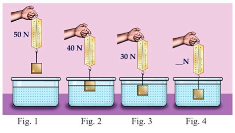 Kerala Scert Class 9 Physics Chapter 5 Buoyant Force Solution