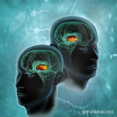 大脑可以在我们睡觉的时候做决定 知乎