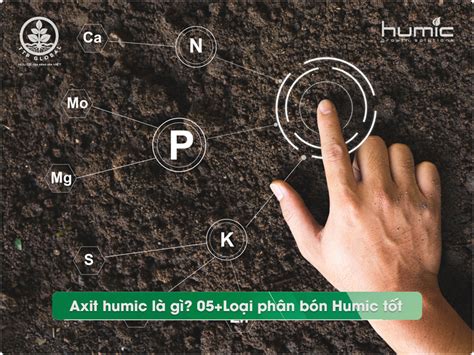 Axit Humic Là Gì 05 Loại Phân Bón Humic Tốt Nhất Hiện Nay