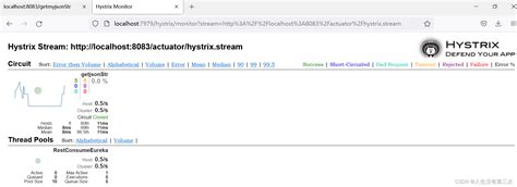 Hystrix Hystrix Dashboard Enablehystrixdashboard Csdn