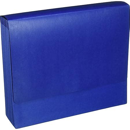 Amazon Wilson Jones Colorlife Expanding File Open Top