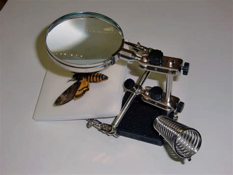 Практична робота № 1 Будова світлового мікроскопа та робота з ним Тест на 7 запитань Біологія