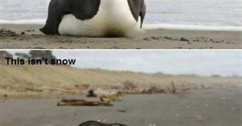 wait something s wrong imgur