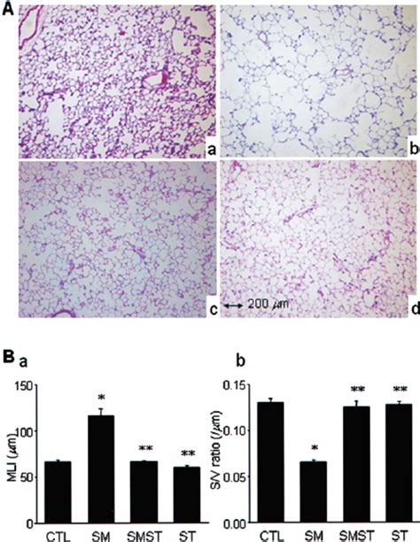 Light Microscopic Determinations Of Mean Linear Intercept Mli And