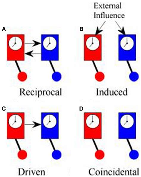 Types Of Synchrony A Shows “reciprocal” Synchronization Whereby The