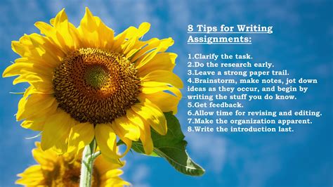 Nsu Assignment Media Home