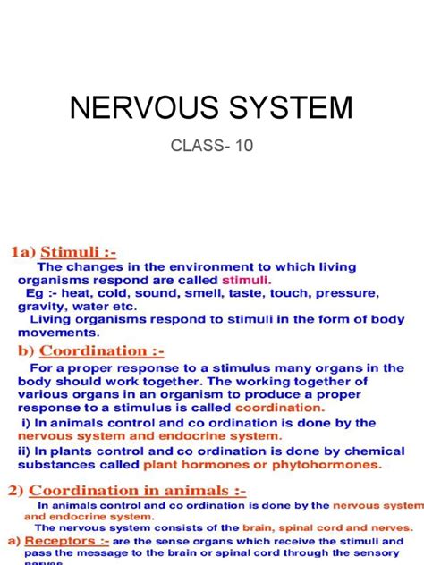Nervous System Class 10 Pdf
