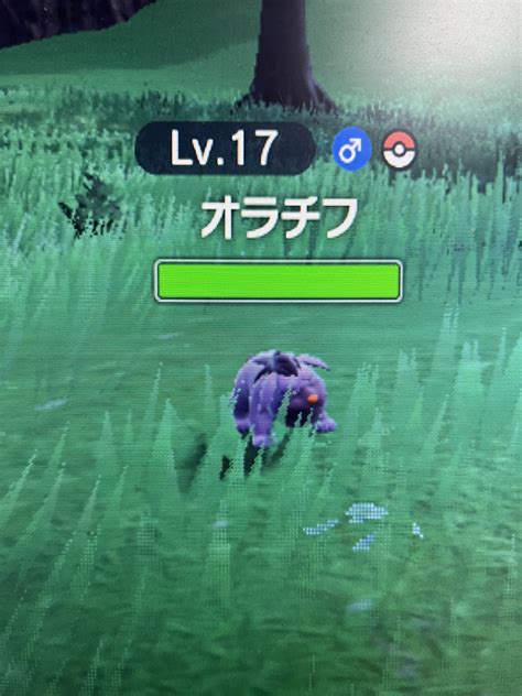 ﾅﾗあっつん😏 On Twitter オラチフ色違いでましたー 5t8f57hrn3 Twitter