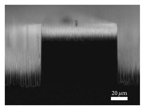 Cross Sectional Sem Image Of The Hierarchical Silicon Structure
