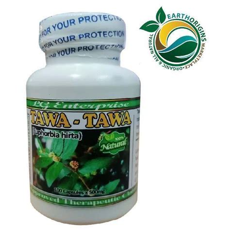 Tawa Tawa Euphorbia Hirta 100 Natural 100 Capsules X 500mg Lazada Ph