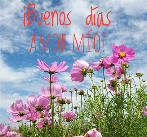 Tarjetas E Imágenes Con La Frase Buenos Días Amor Mío Espacioteca Flash