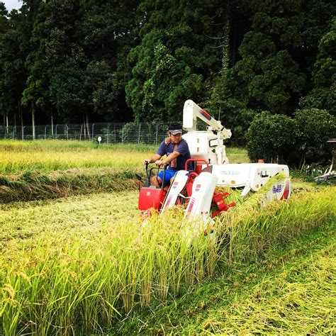 Tatsuya Furuno Flickr