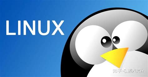 在linux中如何一次性运行多个命令？ 知乎