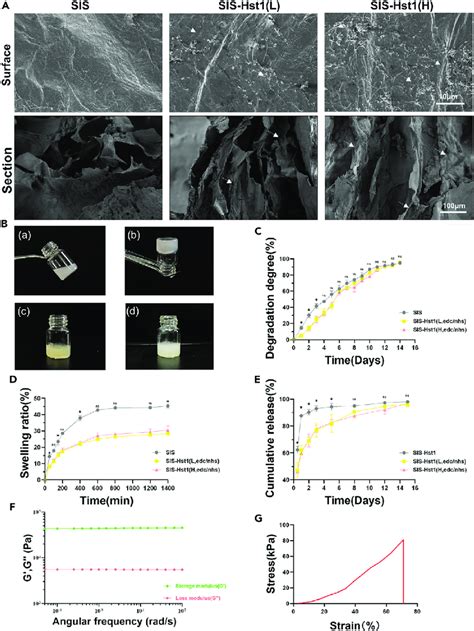 Preparation And Characterization Of Hydrogels A Surface And