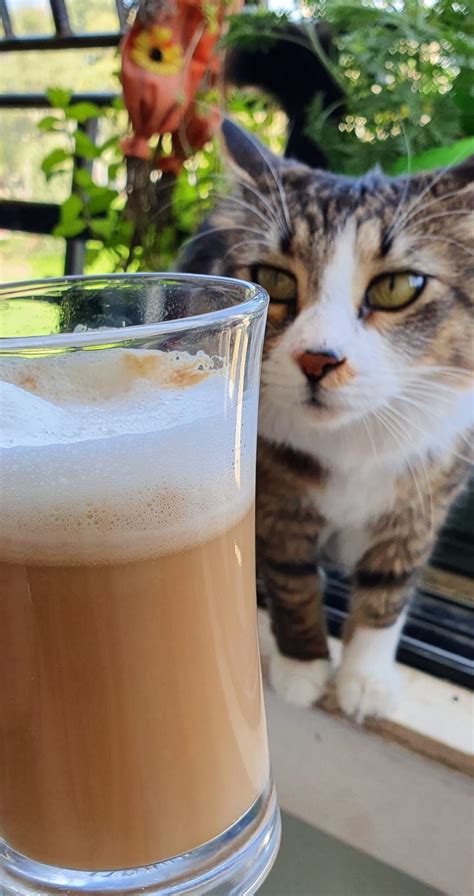 Moran Obstbaum On Linkedin מגייסים ומגייסות שלחו הודעה 📢💪 פיזיקאי מחפש עבודה Tal Obstbaum