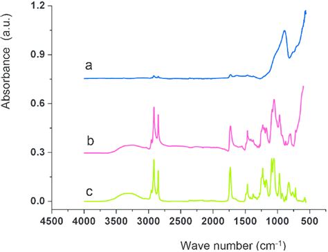 ATR IR Spectra Of A Naked Fe 3 O 4 NPs B DMPCgrafted Fe 3 O 4 NPs And